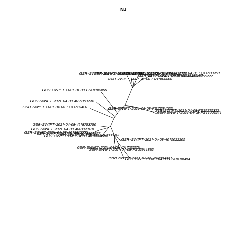 NJTree
