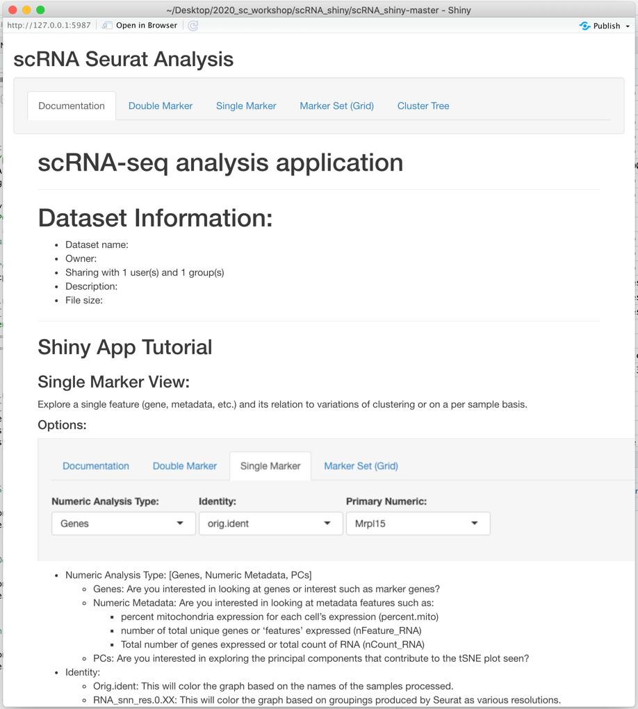 The app should now pop up in a new window: