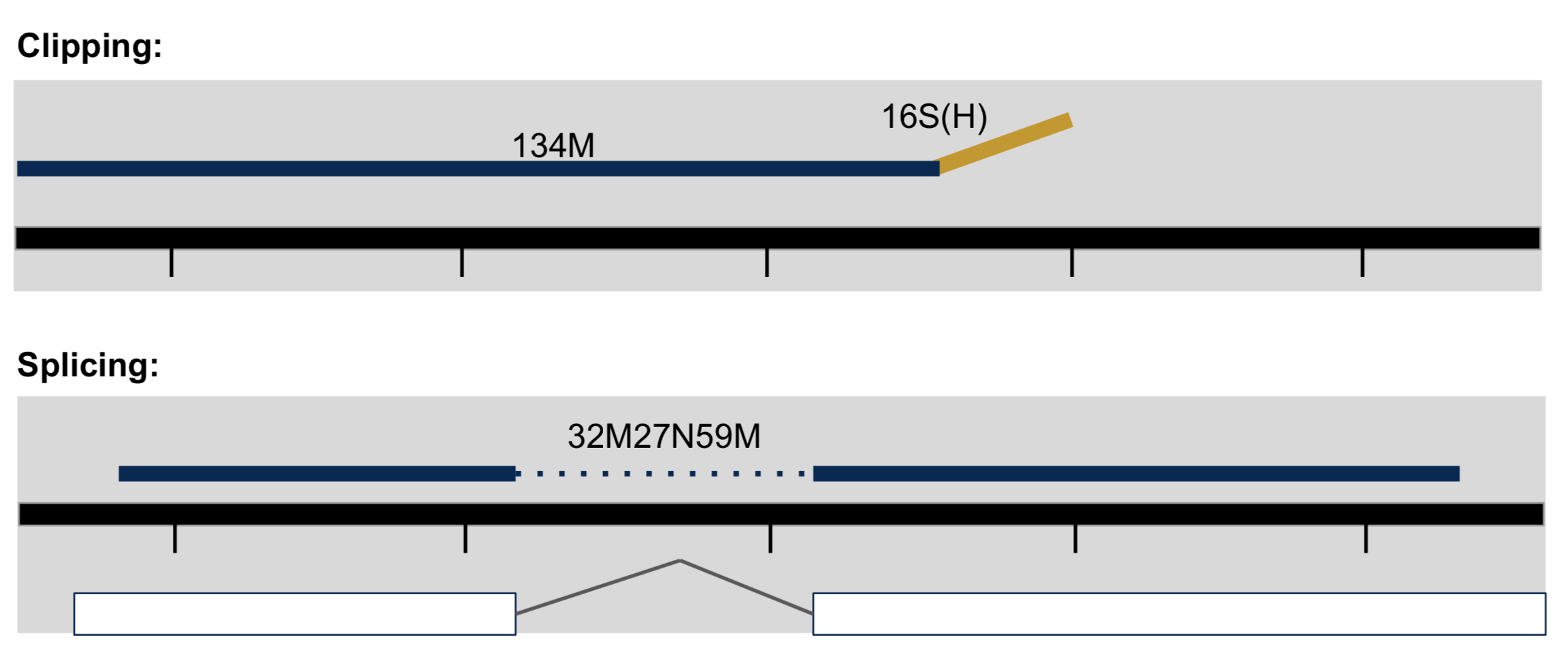 alignment_figure3 alignment_figure3